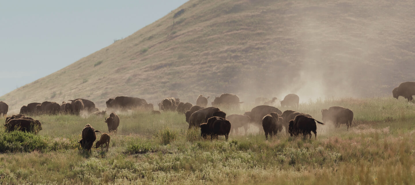 Our History | CSKT Bison Range