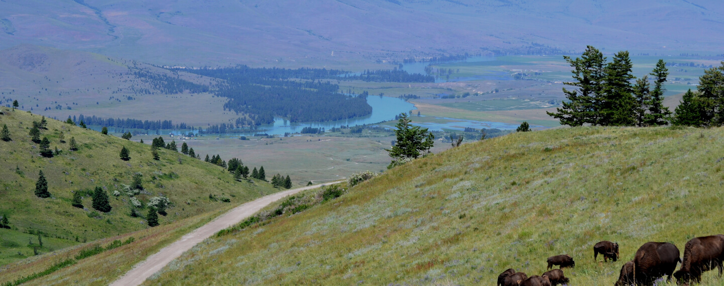 Maps | CSKT Bison Range