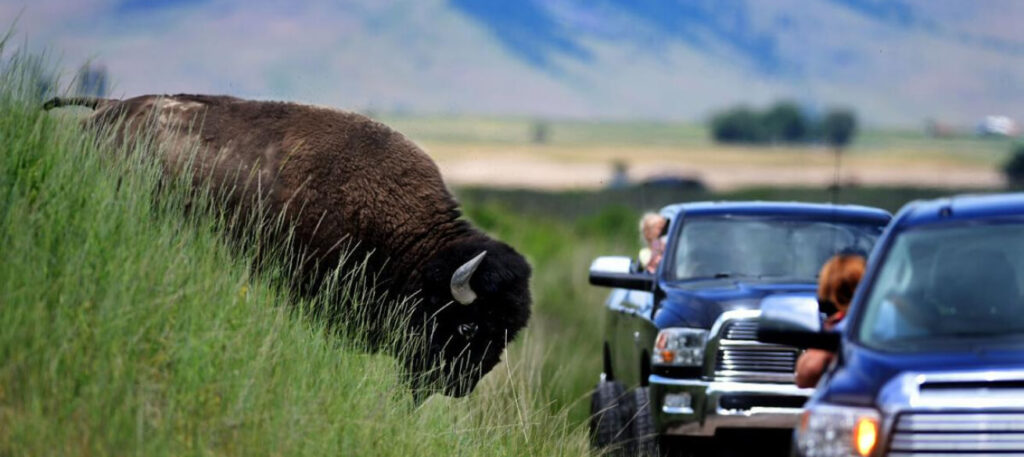 Information and Hours of Operation | CSKT Bison Range