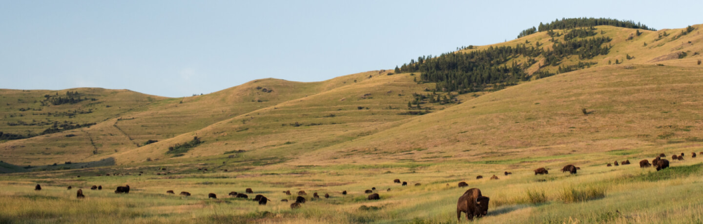 Information and Hours of Operation | CSKT Bison Range