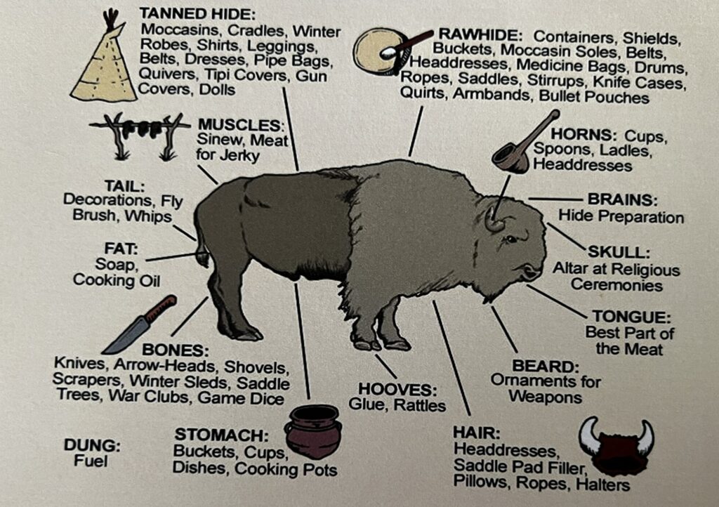 Activity Resources | CSKT Bison Range